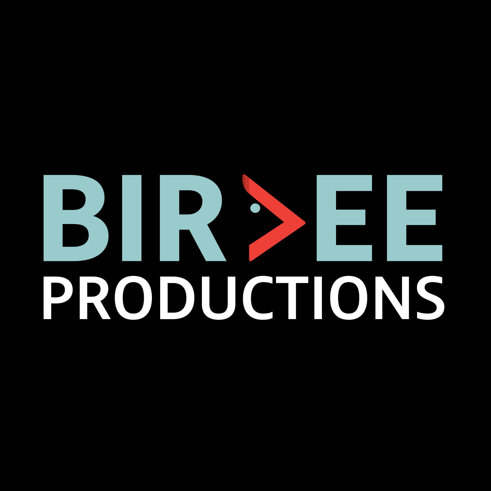 On-Demand Video Production Services - Birdee Productions
